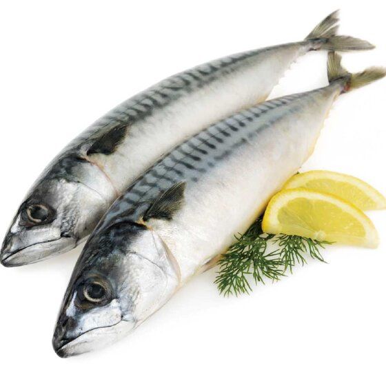 NORWEGIAN / SABA MACKEREL 挪威鯖魚 / 沙巴鱼 - 1KG/PKT, 2PCS