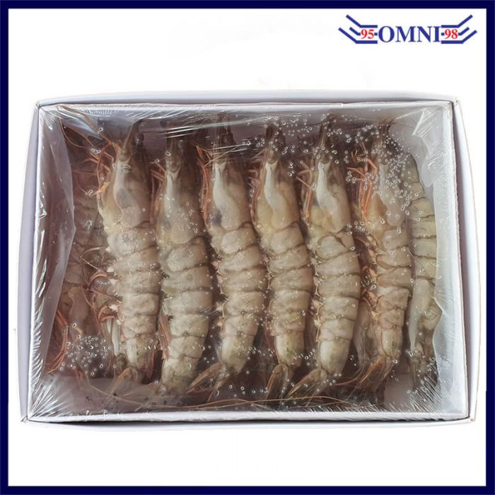 13/15 TIGER PRAWN HOSO (SHELL ON, XL) 老虎虾(特大)